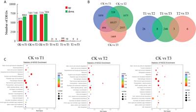 Frontiers | Metabolome and transcriptome association analysis revealed key factors involved in ...